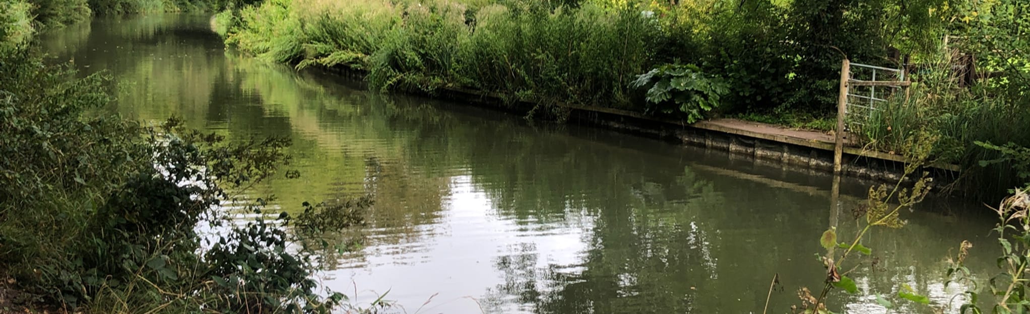 Basingstoke Canal and Dogmersfield Park via Arch Plantation | Map ...