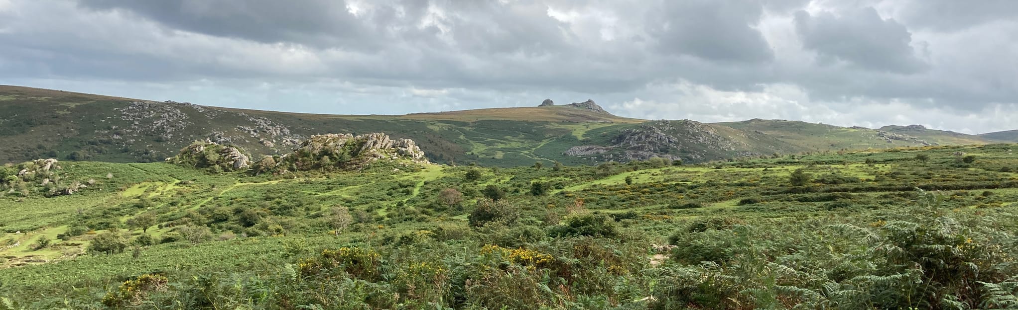 North Bovey, Pullabrook Woods.and Birch Tor Circular - Devon, England ...
