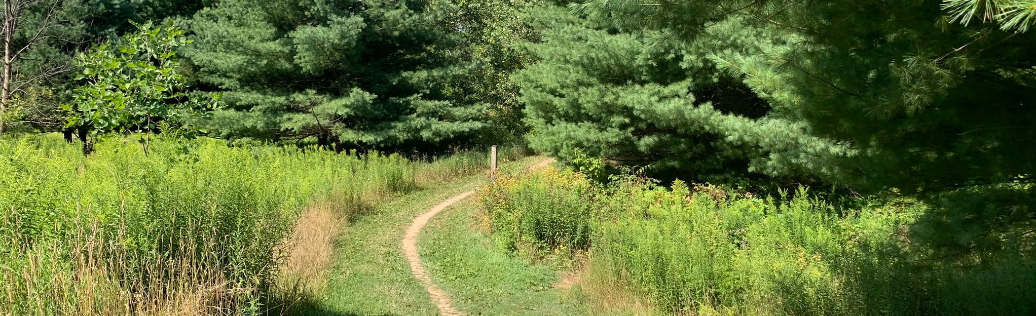 Monarch Trail, Ontario, Canada - 134 Reviews, Map | AllTrails