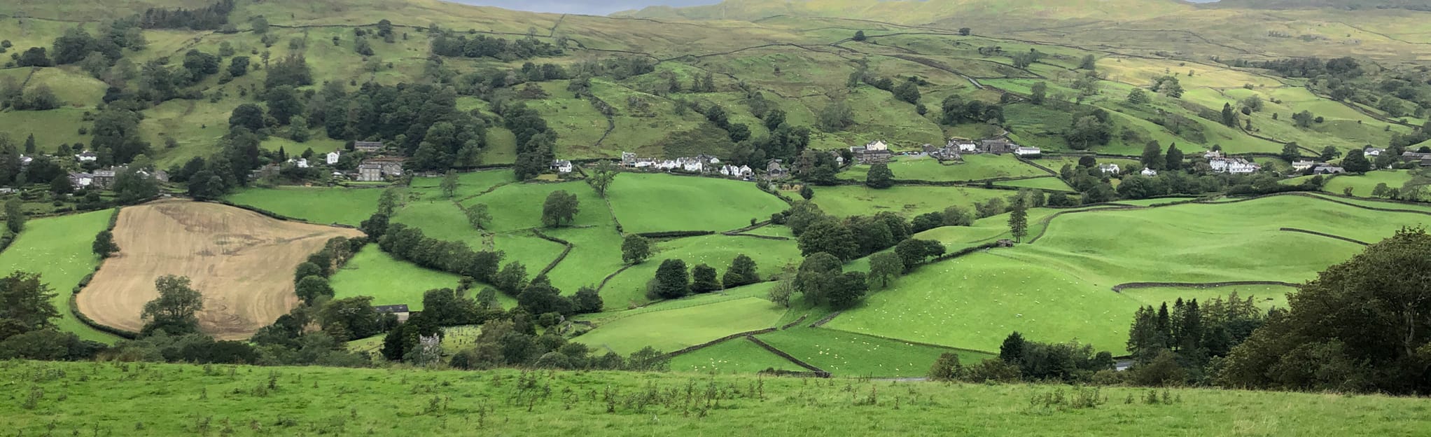 Sallows and Sour Howe, Cumbria, England - 26 Reviews, Map | AllTrails