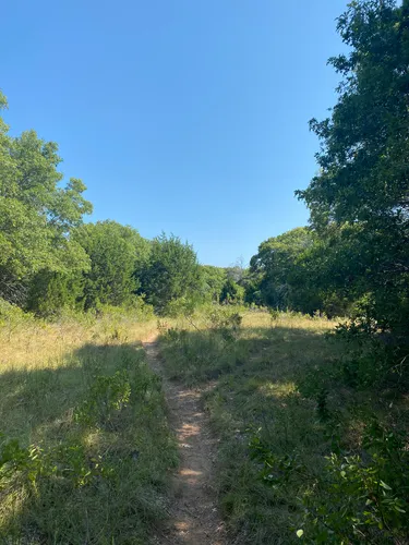 10 Best Bird Watching Trails in Dallas | AllTrails