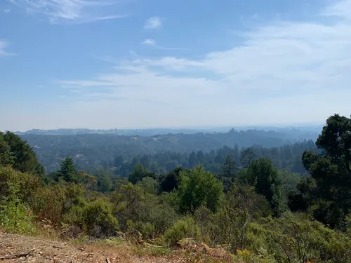 10 Best Trails and Hikes in Woodside | AllTrails