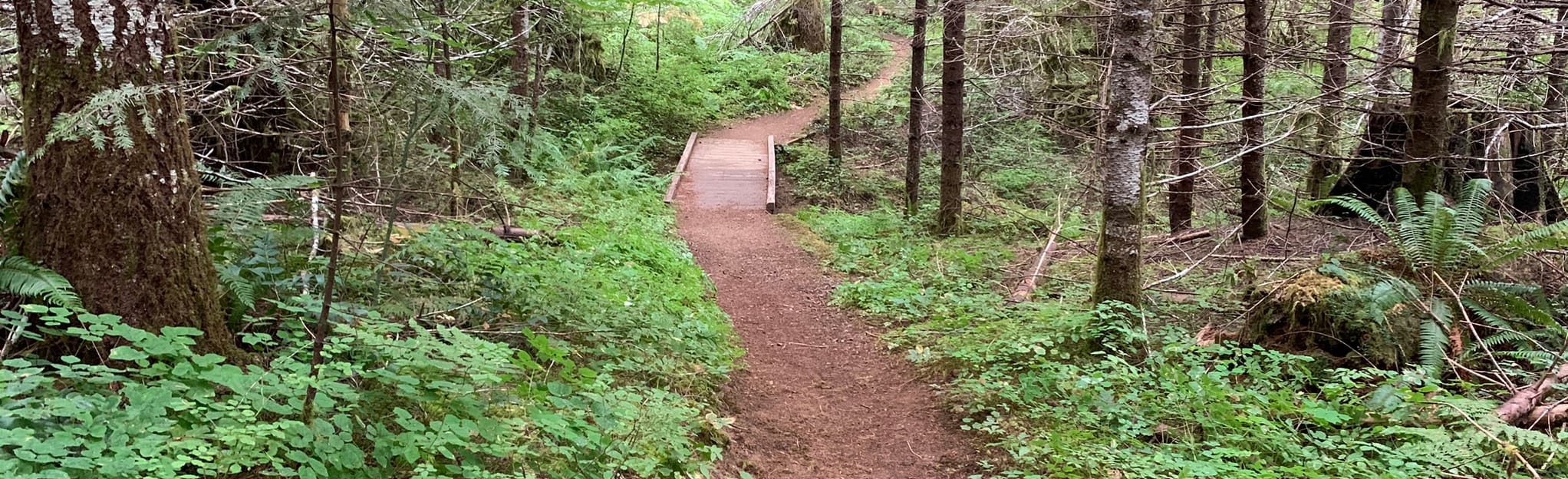 Nels Rogers Trail from Deyeo Creek, Oregon - 45 Reviews, Map | AllTrails