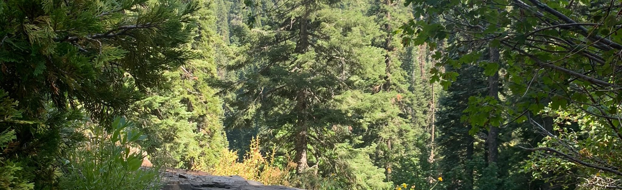 Rainy Lake | Map, Guide - California | AllTrails