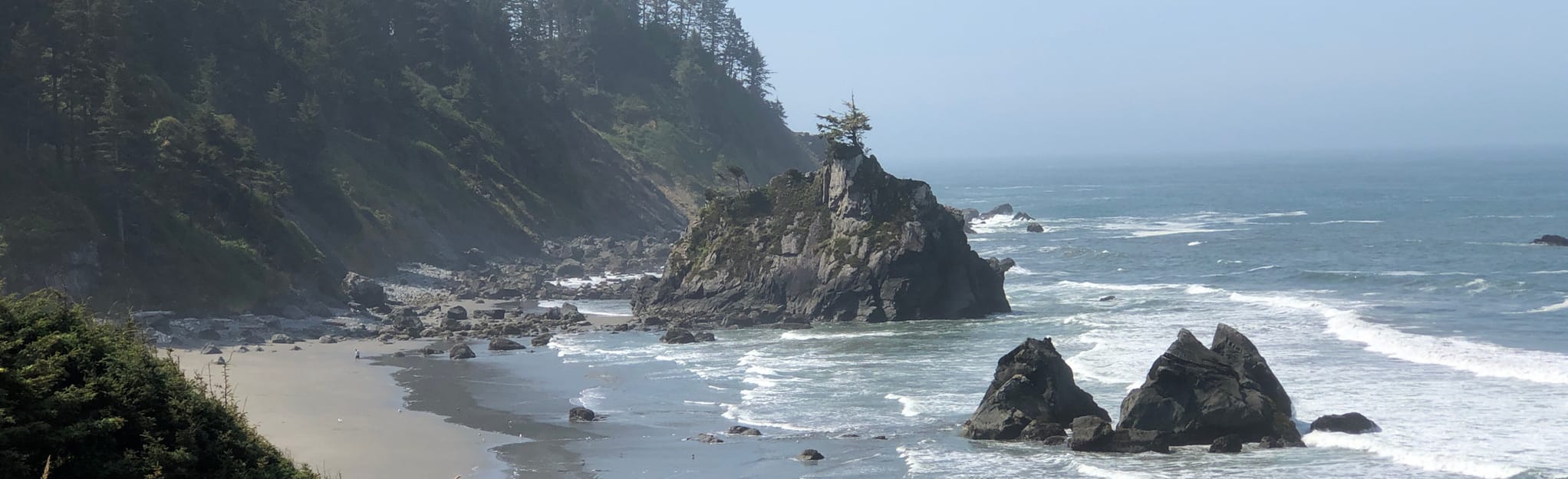 Coastal Trail and Yurok Loop, California - 353 Reviews, Map | AllTrails