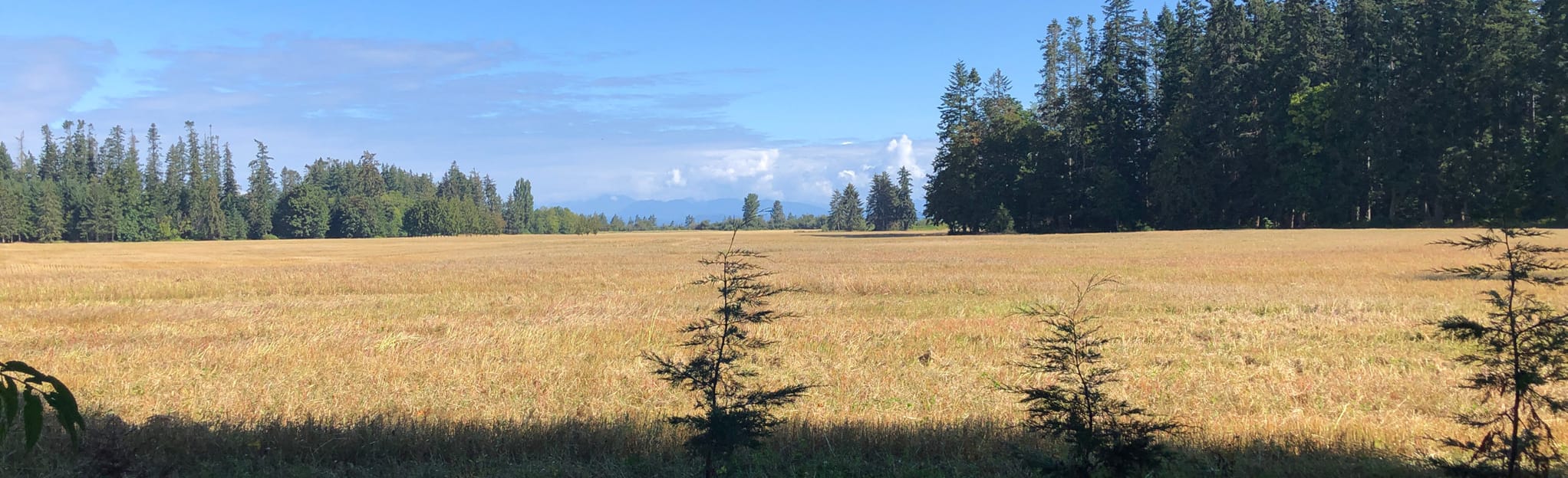 Oyster River Park Loop: 41 Reviews, Map - British Columbia, Canada ...