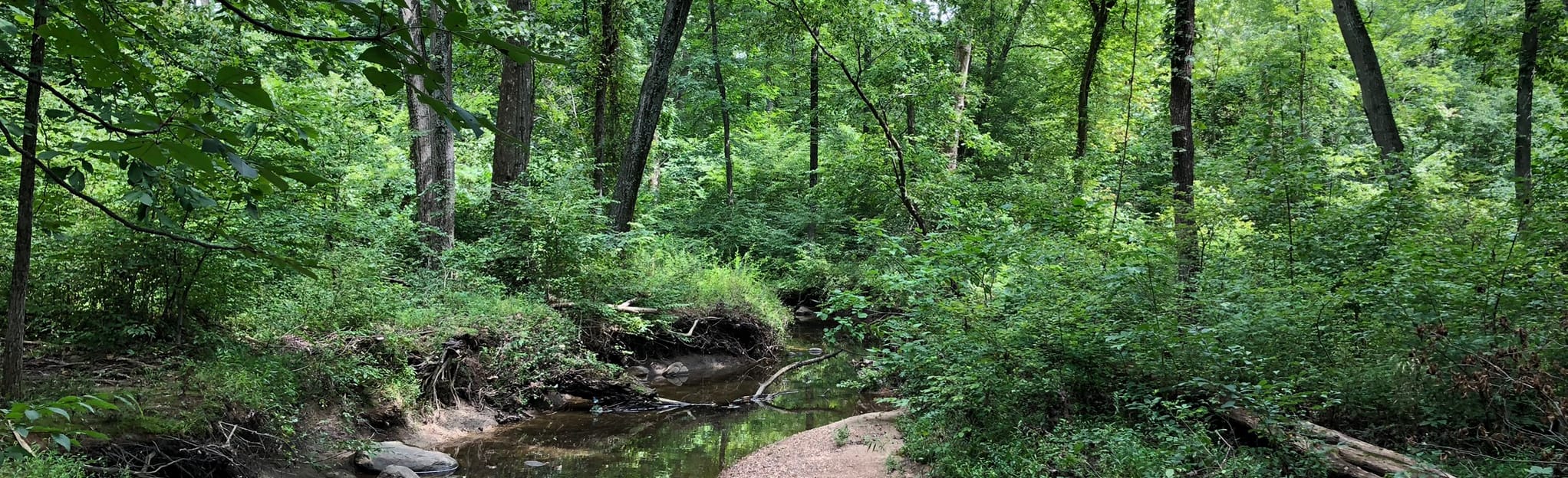Sugarland Run Stream Valley Trail, Virginia - 209 Reviews, Map | AllTrails