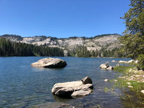 Best Hikes and Trails in Bucks Lake Wilderness | AllTrails