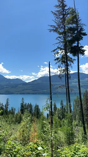 Best Hikes and Trails in Nakusp | AllTrails