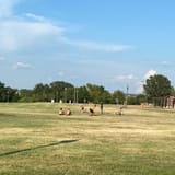 Wolf Pen Creek Park Trails, Texas - 183 Reviews, Map | AllTrails