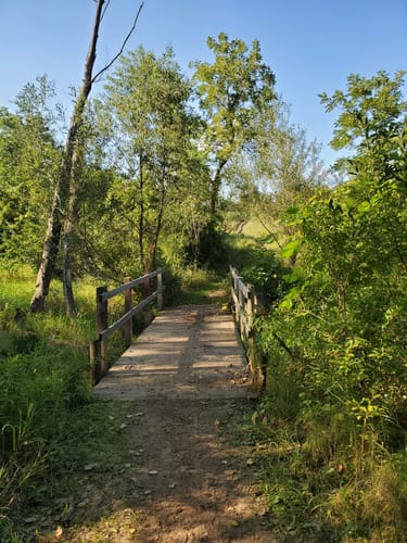 Best Trails in Union Grove State Park: Map, Details | AllTrails