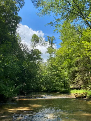 Best Hikes and Trails in Window Cliffs State Natural Area | AllTrails