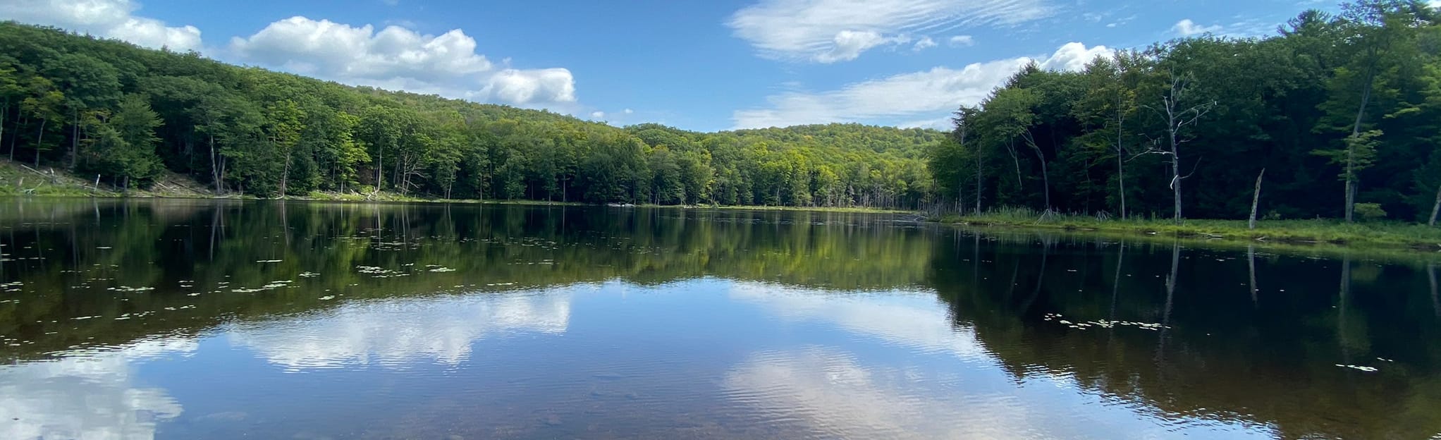 October Mountain Loop, Massachusetts - 141 Reviews, Map | AllTrails