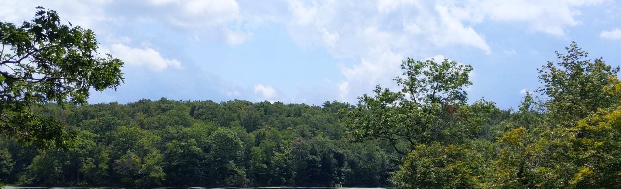 Berry Pond Trail, Massachusetts - 65 Reviews, Map | AllTrails