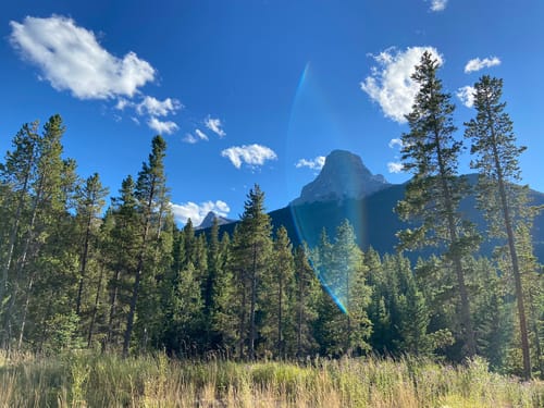 I migliori sentieri per escursionismo in Bow Valley Wildland Provincial ...