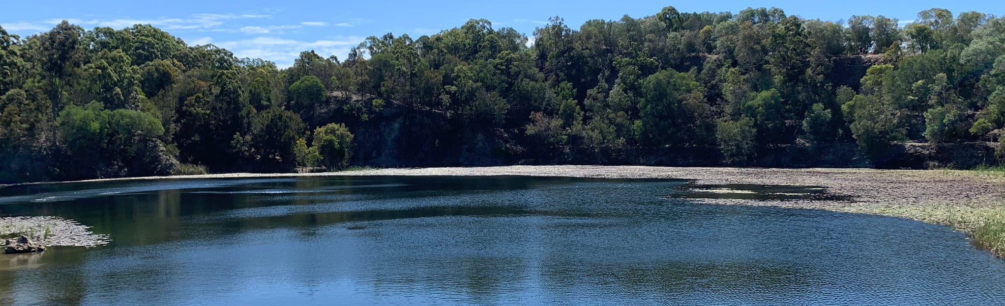 Koala Bushland Coordinated Conservation Area Loop, Queensland, Australia - 37 Reviews, Map ...