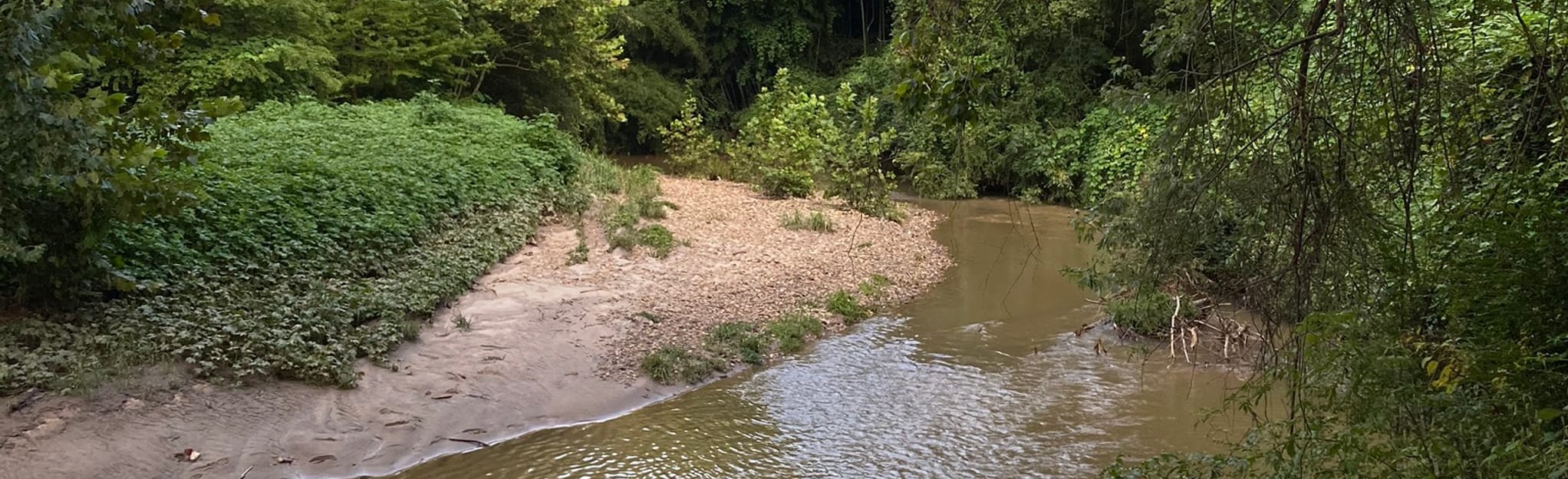 Daniel Johnson Nature Preserve, Georgia - 137 Reviews, Map | AllTrails