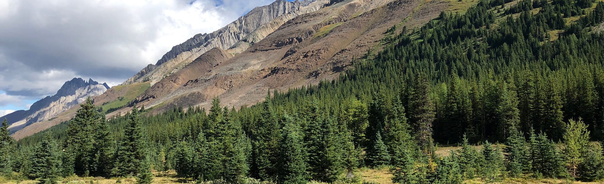 Highwood Ridge Traverse: 14 Reviews, Map - Alberta, Canada | AllTrails