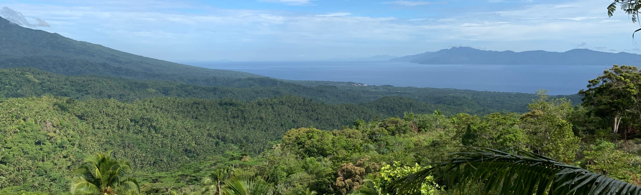 Fern Agriculture Farm: 3 foto's - Southern Leyte, Filipijnen | Wandelen ...