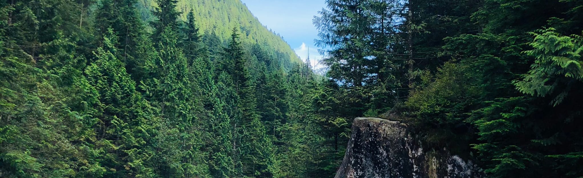 Widgeon Falls via Widgeon Creek Campsite: 27 Reviews, Map - British ...