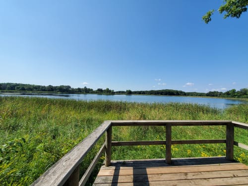 Best Hikes and Trails in Lake Maria State Park | AllTrails