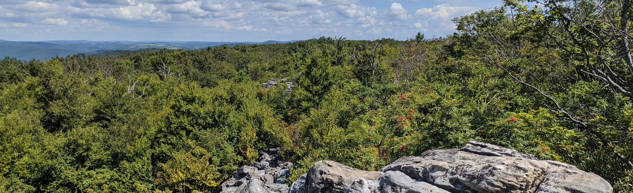 High Rock, Maryland - 449 Reviews, Map | AllTrails