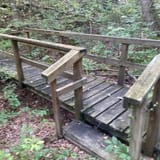 Bootleg Access Trail, Missouri - 68 Reviews, Map | AllTrails