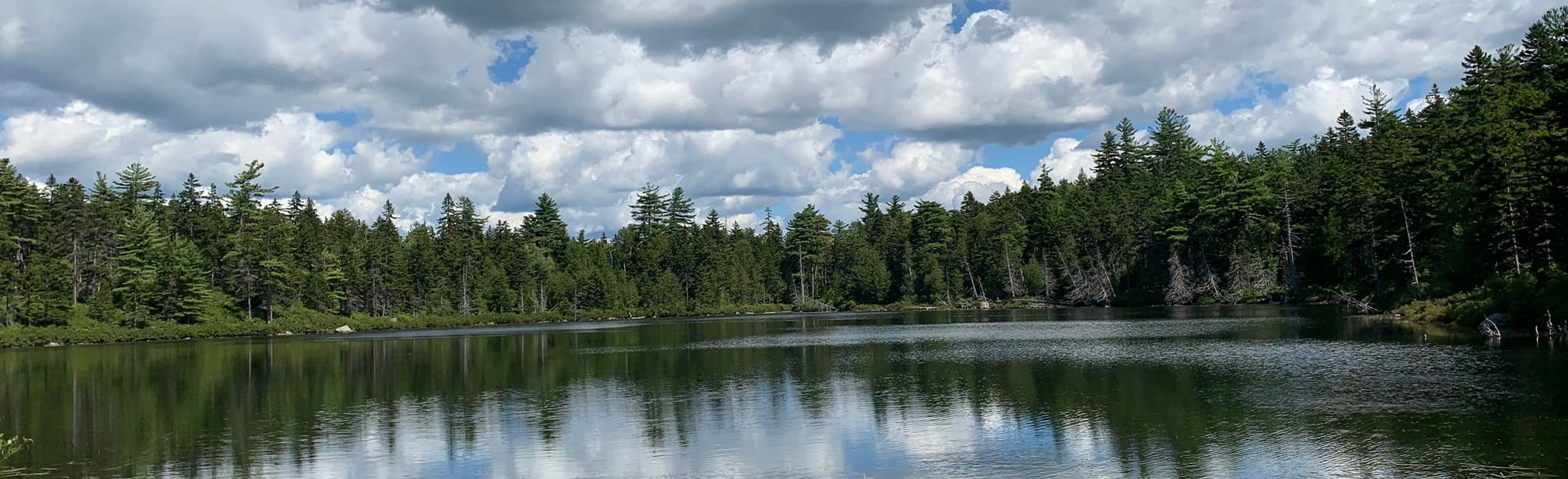 Hidden Ponds Loop and Tunk Mountain: 195 Reviews, Map - Maine | AllTrails