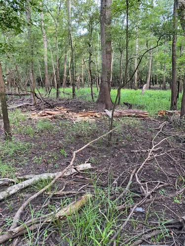 Best Hikes and Trails in Trinity River National Wildlife Refuge | AllTrails