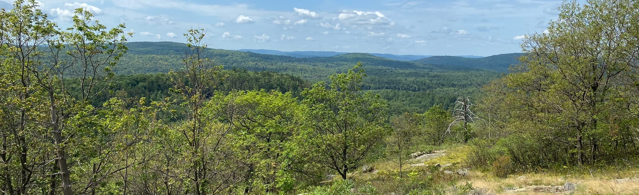 Griffith Uplands Trail: 354 foto - Ontario, Canada | AllTrails