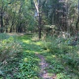 Bootleg Access Trail, Missouri - 72 Reviews, Map | AllTrails
