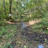 Bootleg Access Trail, Missouri - 72 Reviews, Map | AllTrails