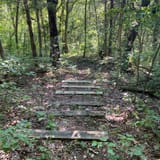 Bootleg Access Trail, Missouri - 68 Reviews, Map | AllTrails