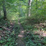 Bootleg Access Trail, Missouri - 68 Reviews, Map | AllTrails