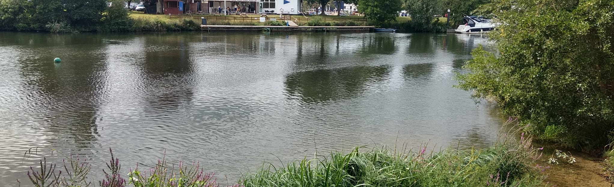 The Three Horseshoes Laleham Walk - Surrey, England | AllTrails