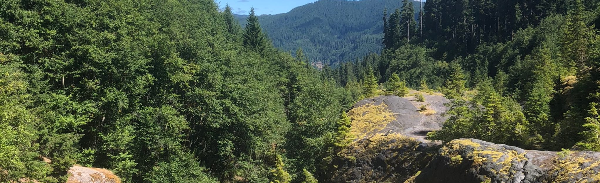 Lava Canyon Trail, Washington - 359 Reviews, Map | AllTrails