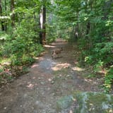 Powder House Hill Trail, Massachusetts - 105 Reviews, Map | AllTrails