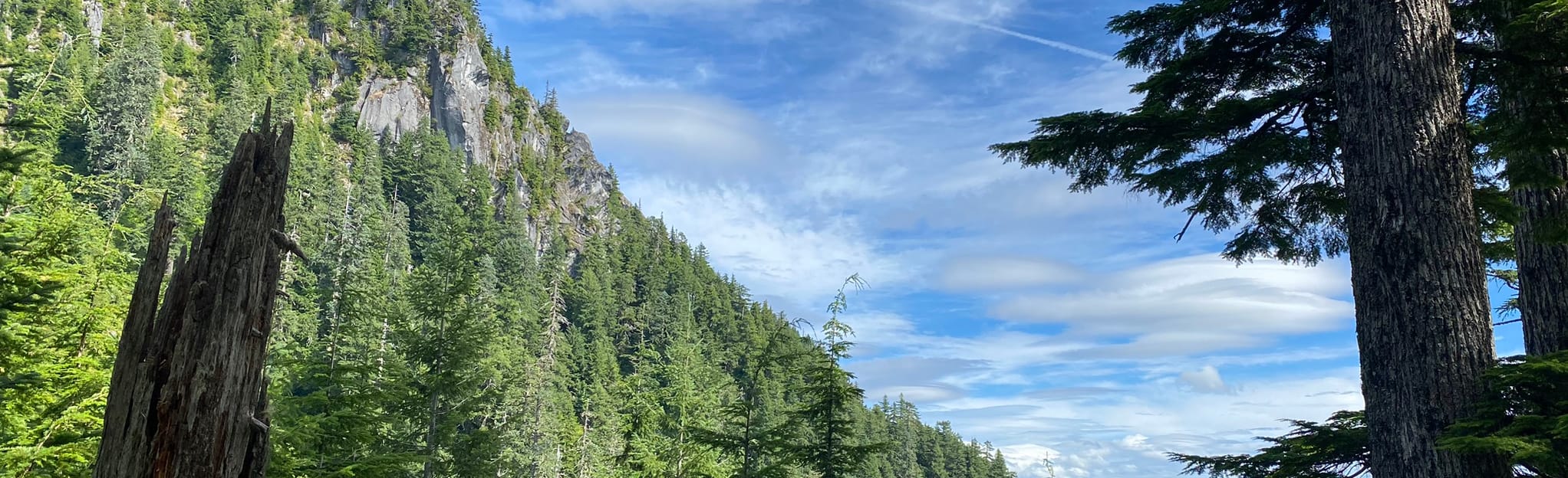 Fossil Trail, Washington - 59 Reviews, Map | AllTrails