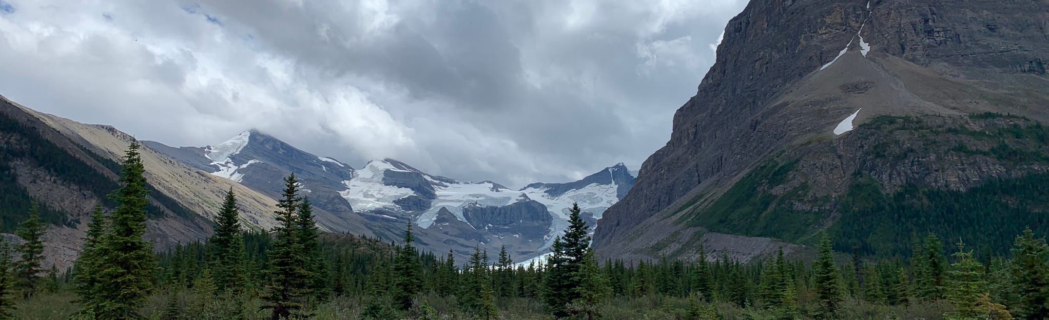 Moose River Route: Berg Lake Trail to Smoky River Crossing: 3 Reviews ...