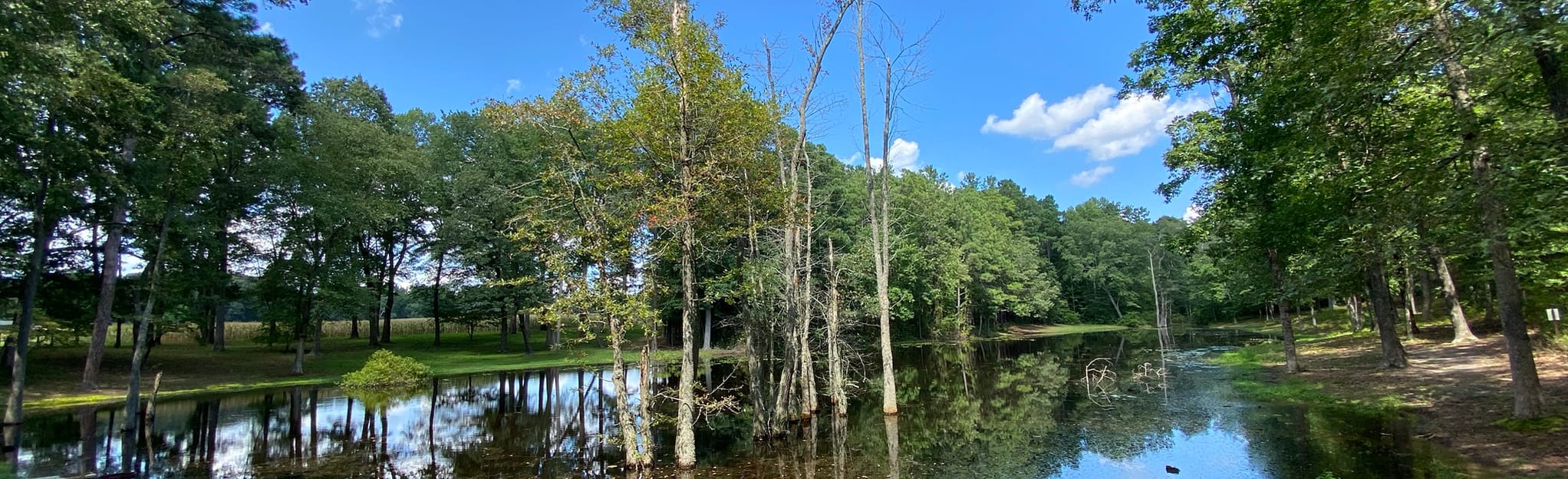 Cold Harbor Battlefield White Trail, Virginia - 270 Reviews, Map ...