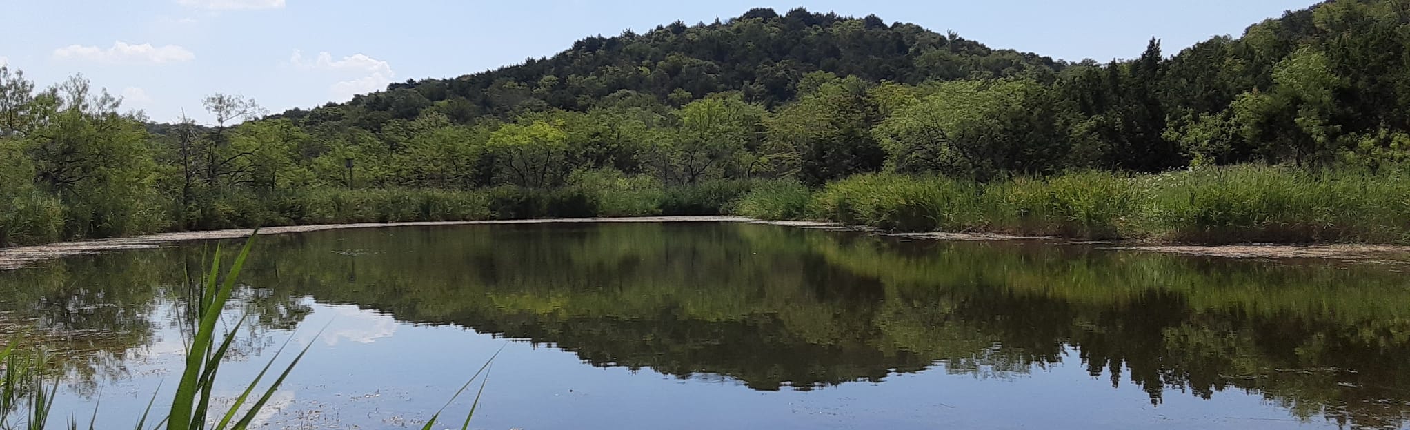 Cattail Pond Loop, Texas - 1,231 Reviews, Map | AllTrails