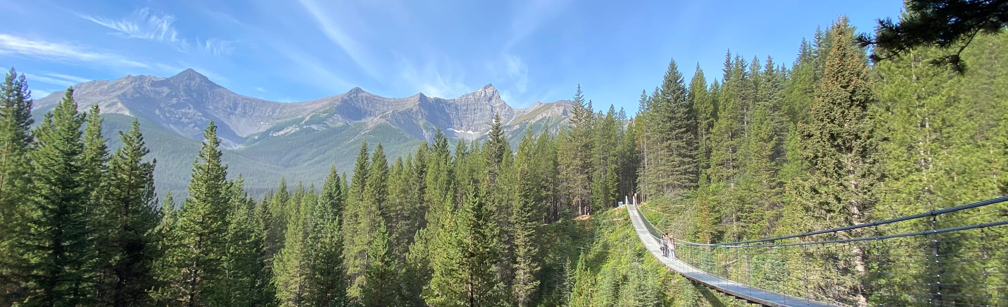 Blackshale Suspension Bridge via Black Prince: 1100 Reviews, Map ...