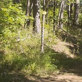 Horse Thief Spring and Ouachita Loop, Oklahoma - 185 Reviews, Map ...