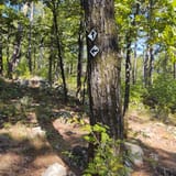 Horse Thief Spring and Ouachita Loop, Oklahoma - 179 Reviews, Map ...