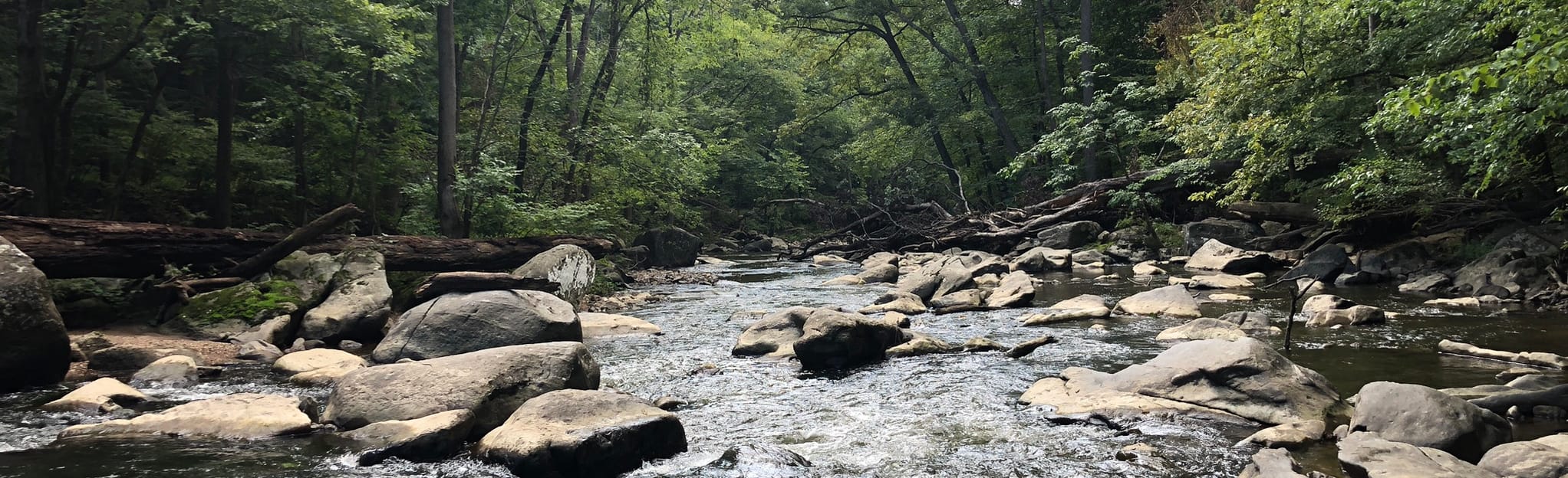 Western Ridge and Valley Trail Loop , Maryland - 1,034 Reviews, Map ...