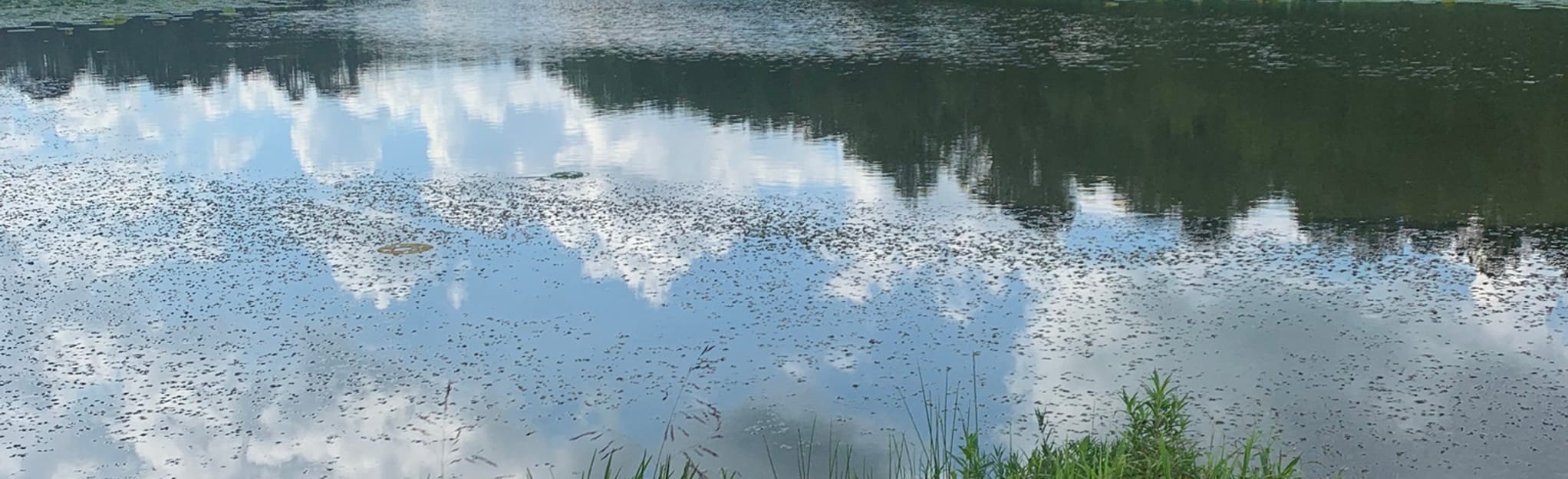 Adams Lake Loop Trail, Ohio - 35 Reviews, Map | AllTrails