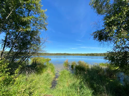 10 Best Horseback Riding Trails in Cooking Lake/Blackfoot Provincial ...