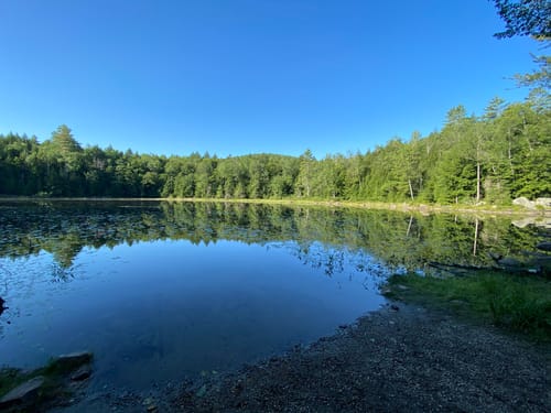 2023 Best 10 Camping Trails in Pharaoh Lake Wilderness | AllTrails