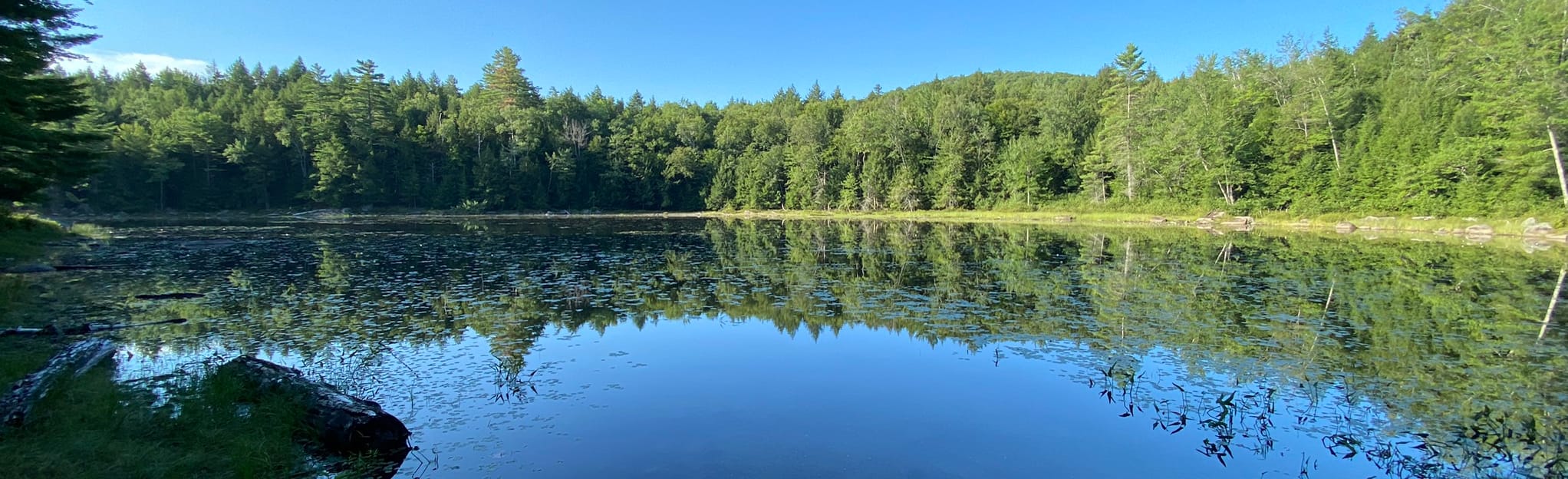 Pharaoh Lake via Long Swing Trail, New York - 38 Reviews, Map | AllTrails