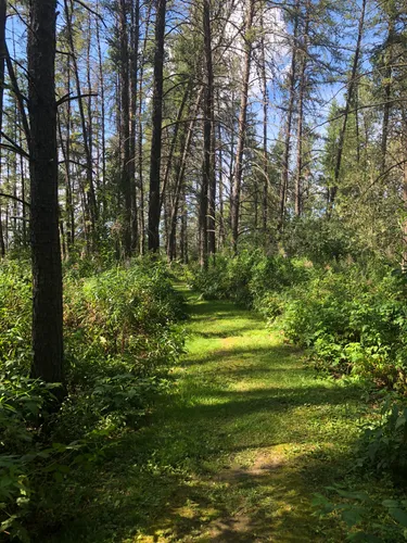 Best Hikes and Trails in Onoway | AllTrails